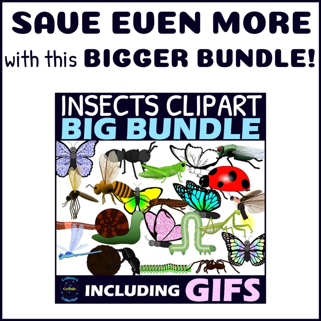 Insect GIFs Clipart BUNDLE - Animated Bugs Clip Art | Made By Teachers
