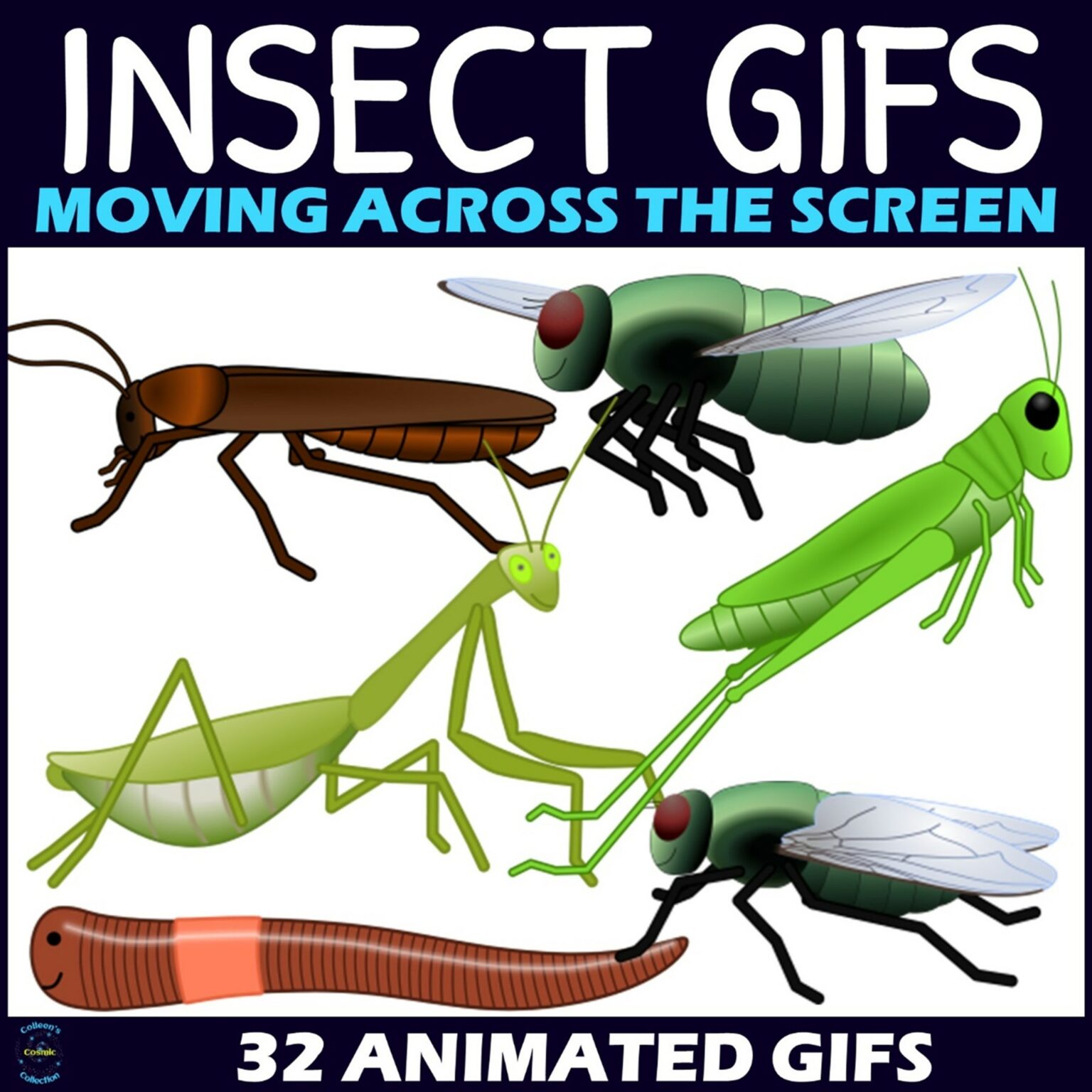 Insect GIFs MINI BUNDLE - Animated Bugs Moving Across the Screen Clip ...