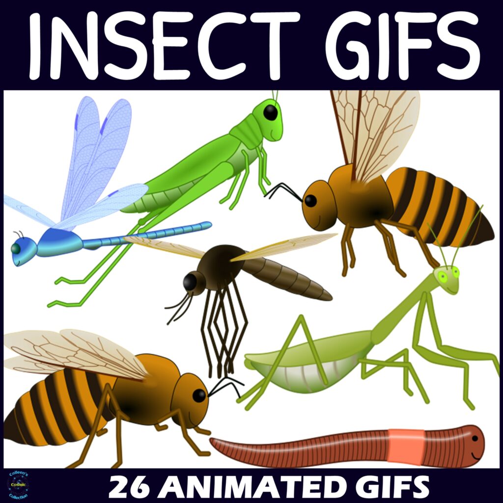 Insect GIFs Clipart - Animated Bugs Clip Art - Set 2 | Made By Teachers