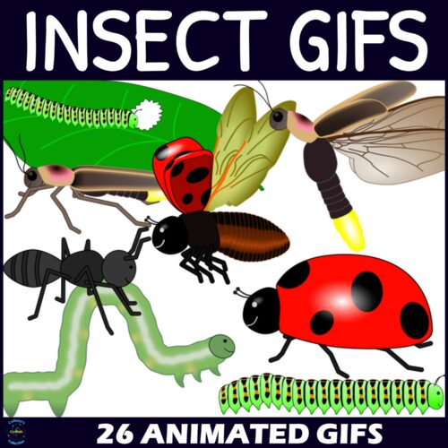 Insect GIFs Clipart BUNDLE - Animated Bugs Clip Art | Made By Teachers