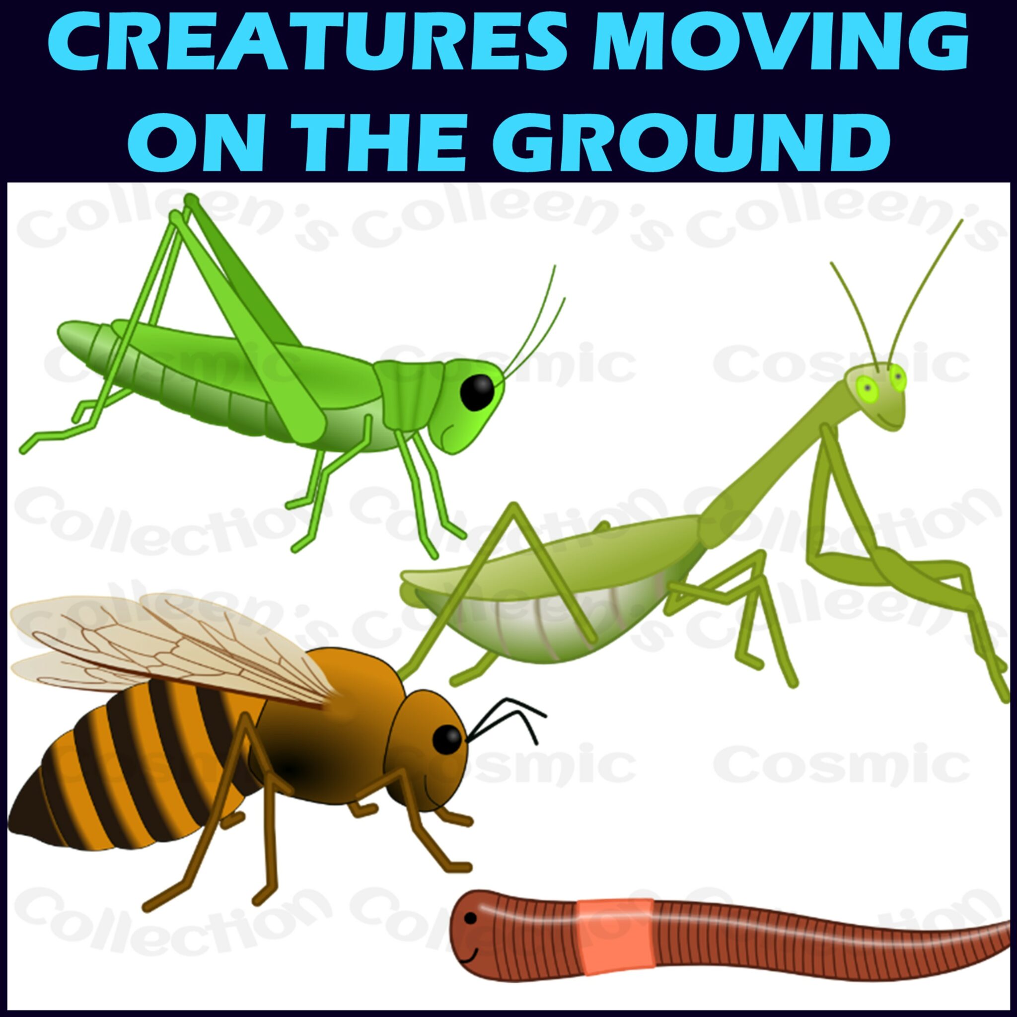 Insect GIFs Clipart - Animated Bugs Clip Art - Set 2 | Made By Teachers