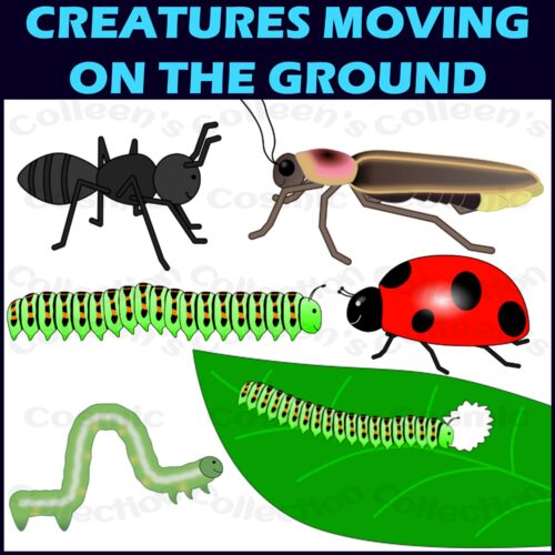 Insect GIFs Clipart - Animated Bugs Clip Art - Set 3 | Made By Teachers