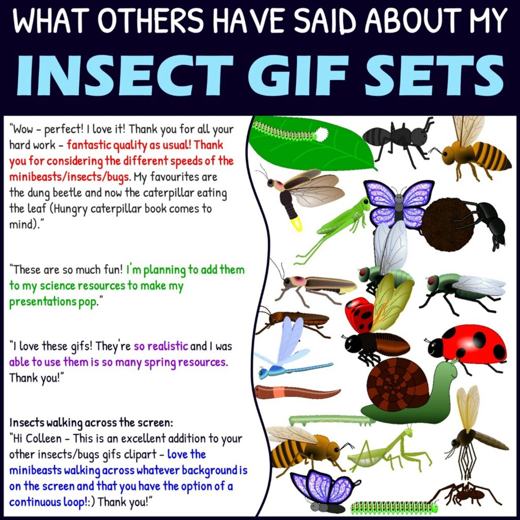 Insect GIFs Clipart - Animated Bugs Clip Art - Set 3 | Made By Teachers