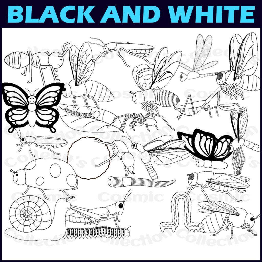 Insects and Bugs Clipart | Made By Teachers