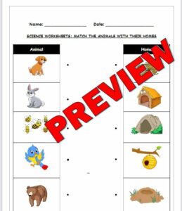 Science Worksheet: Match The Animals with Their Homes | Made By Teachers