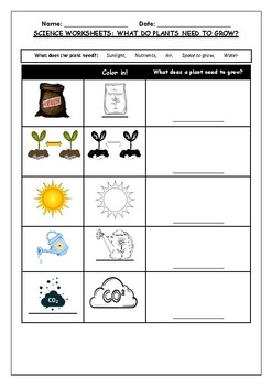 Science Worksheet: Label what plants need to grow | Made By Teachers
