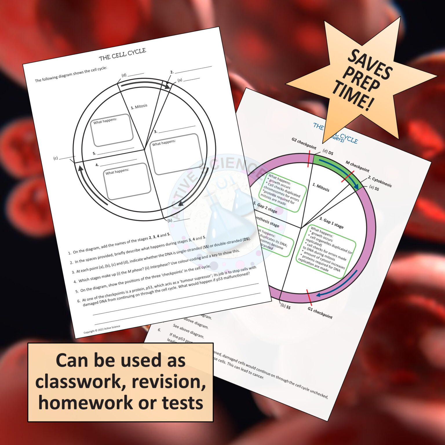 Cell Division: mitosis, meiosis and binary fission | Made By Teachers