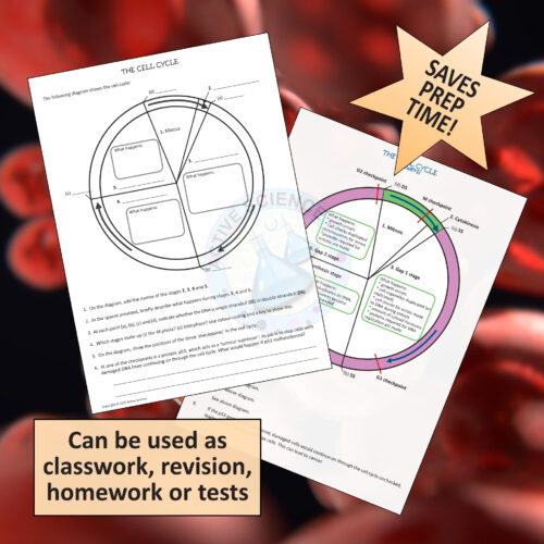 Cell Division: mitosis, meiosis and binary fission | Made By Teachers