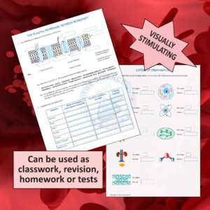 Cells and their Organelles (US Edition) | Made By Teachers