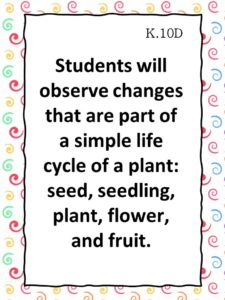 Kindergarten Science TEKS Learning Objective Cards/ Posters (3) Color ...