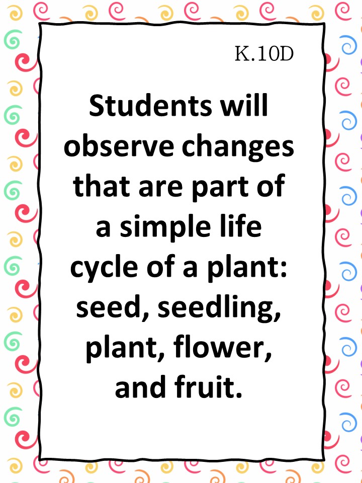 Kindergarten Science TEKS Learning Objective Cards/ Posters (3) Color ...