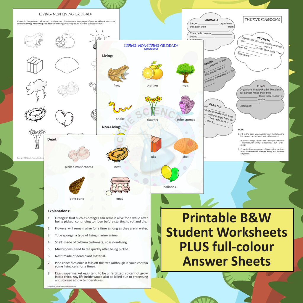 Classification of Living Things | Made By Teachers
