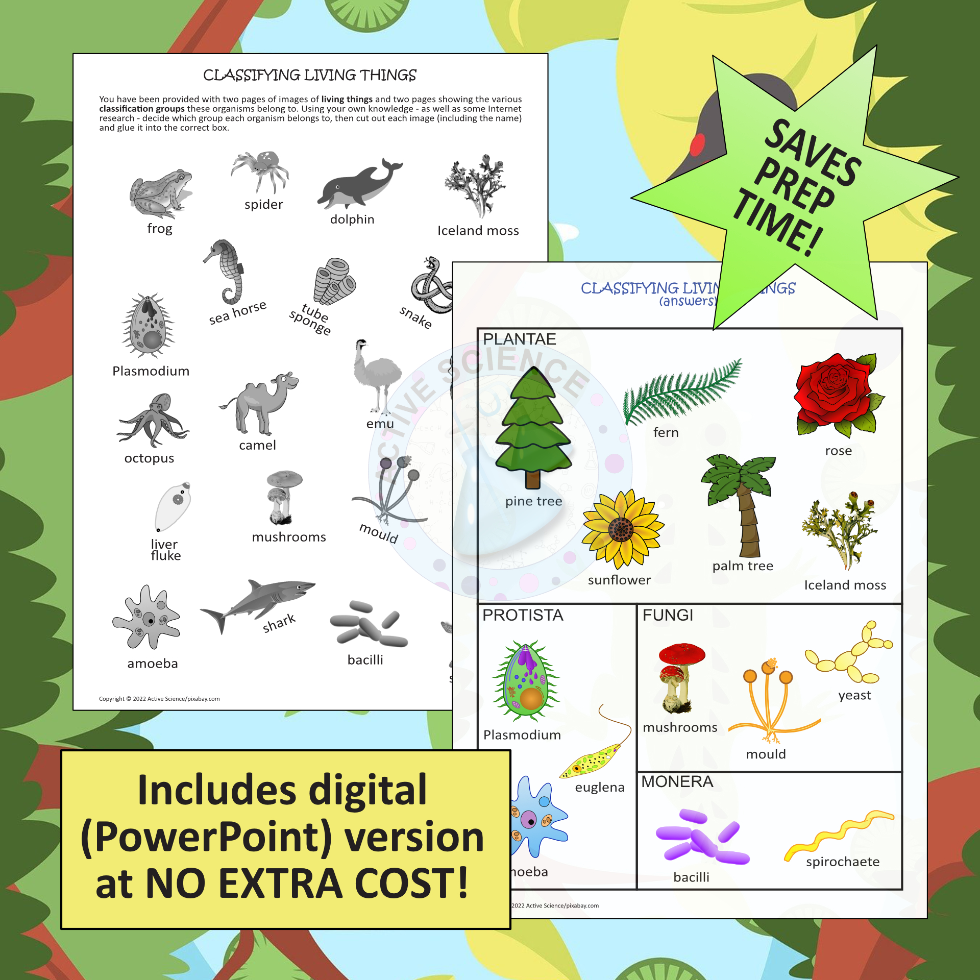Classification of Living Things | Made By Teachers