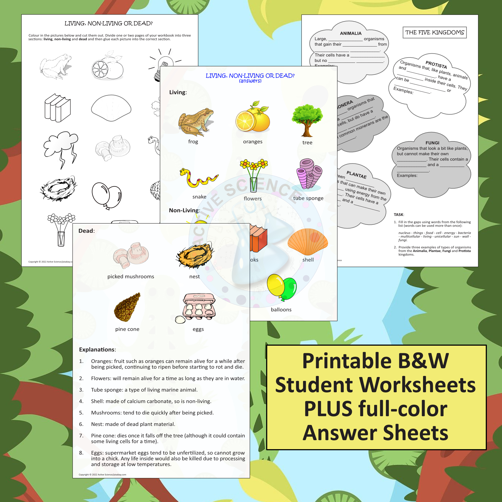 Classification of Living Things (US edition) | Made By Teachers