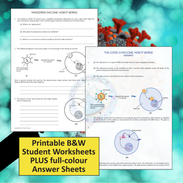 COVID 19 Vaccines: how they work | Made By Teachers