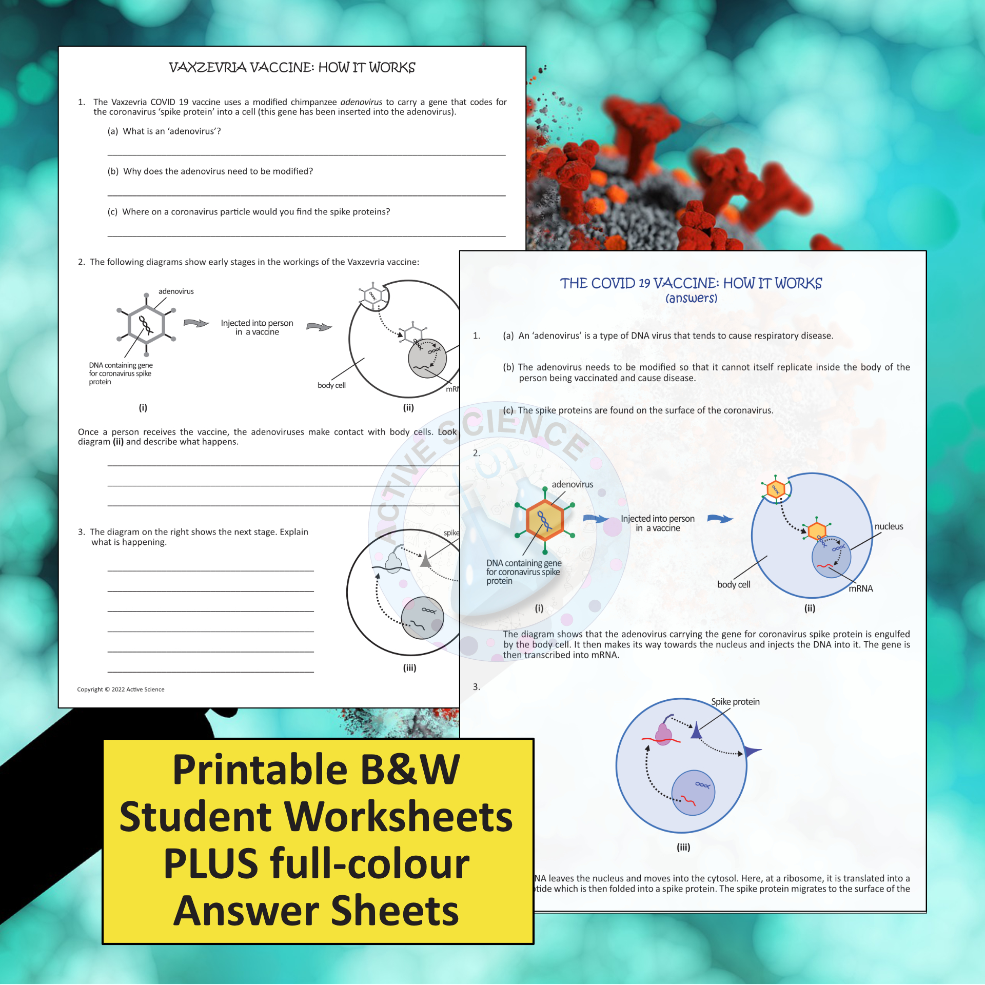 COVID 19 Vaccines: how they work | Made By Teachers