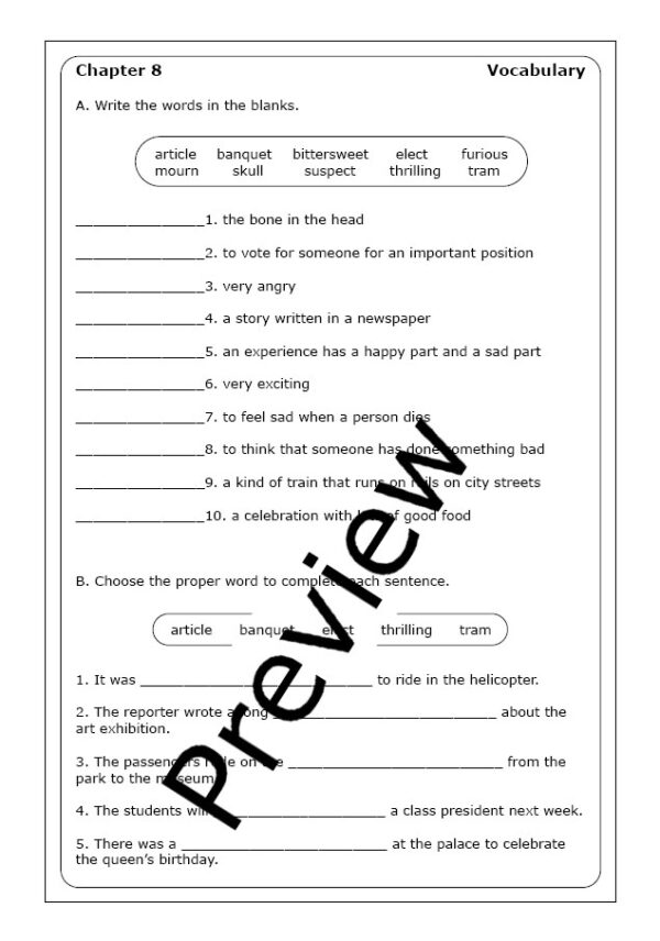 Megan Stine "Who Was Marie Curie?" worksheets | Made By Teachers
