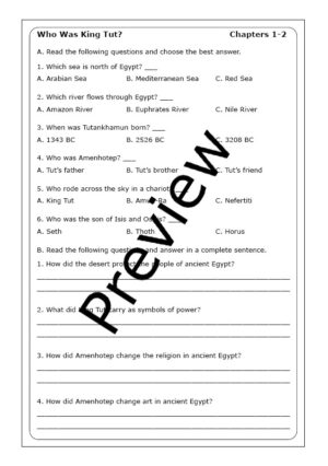 Roberta Edwards "Who Was King Tut?" worksheets | Made By Teachers