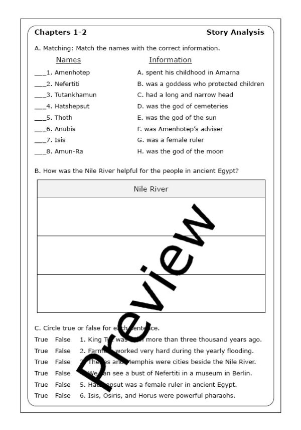 Roberta Edwards "Who Was King Tut?" worksheets | Made By Teachers