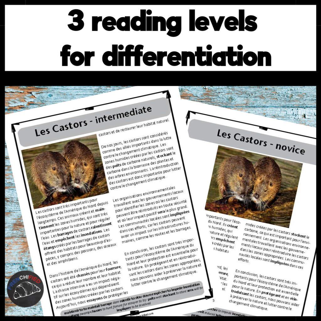 French reading comprehension - Beavers | Made By Teachers