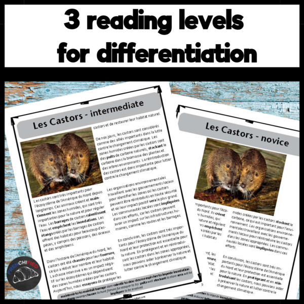 French reading comprehension - Beavers | Made By Teachers
