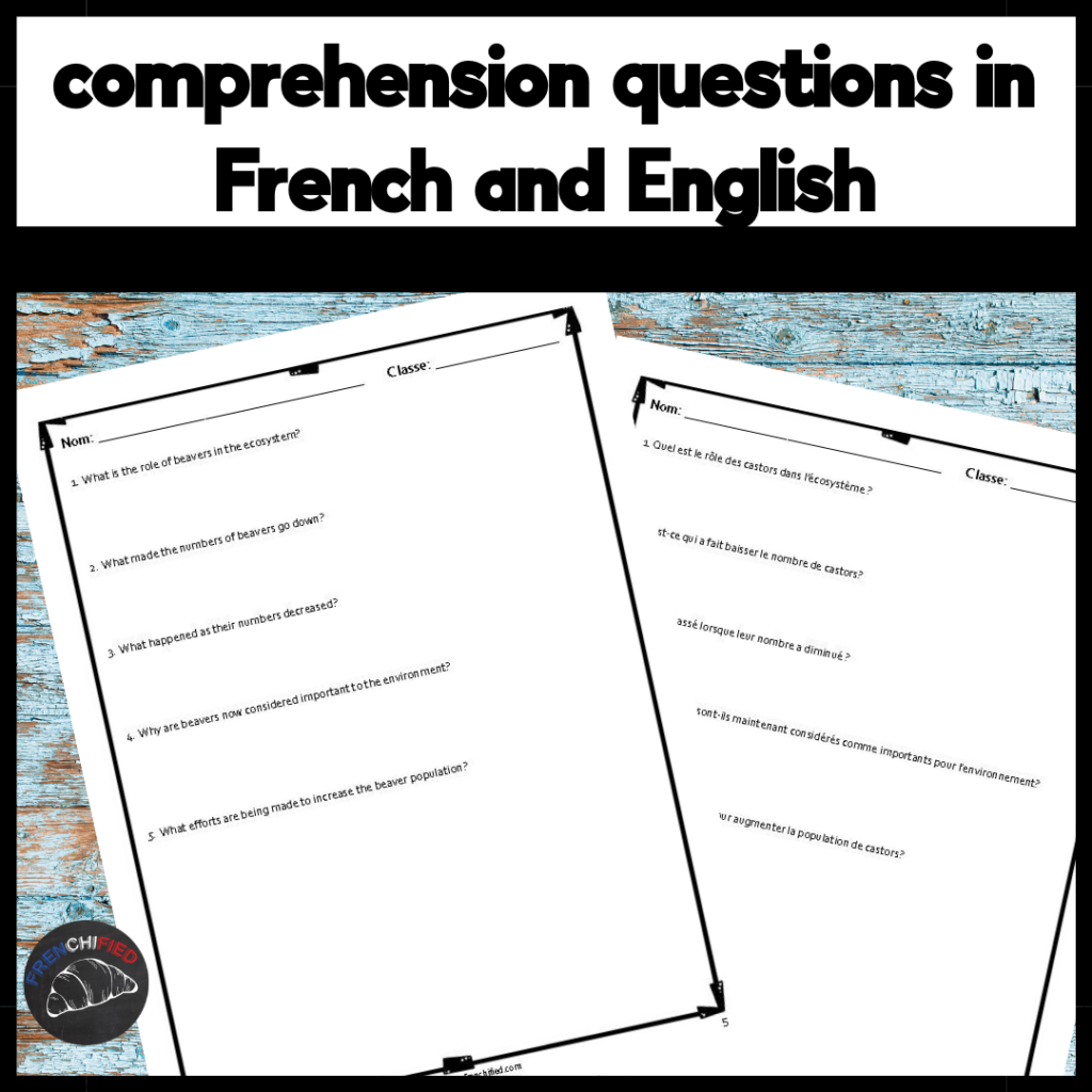 French reading comprehension - Beavers | Made By Teachers