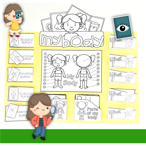 My Body Systems And Senses Lapbook | Made By Teachers