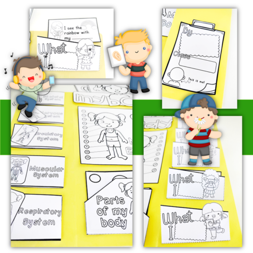 My Body Systems And Senses Lapbook | Made By Teachers