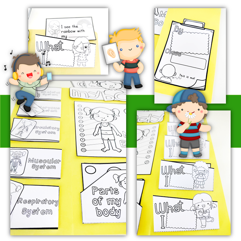 My Body Systems And Senses Lapbook | Made By Teachers