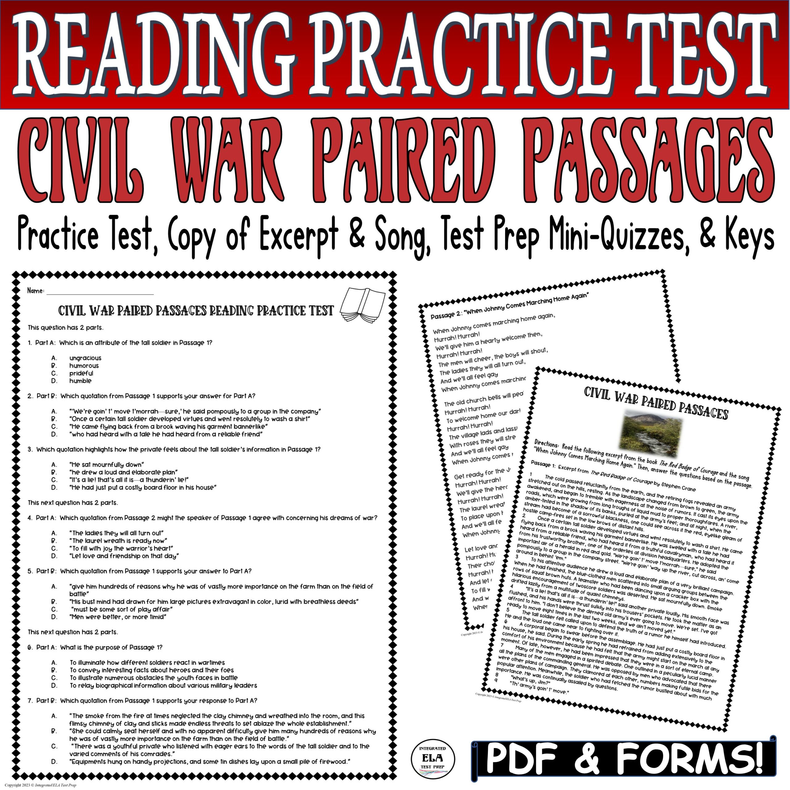 Reading Comprehension Passage and Questions Practice Test Informational ...