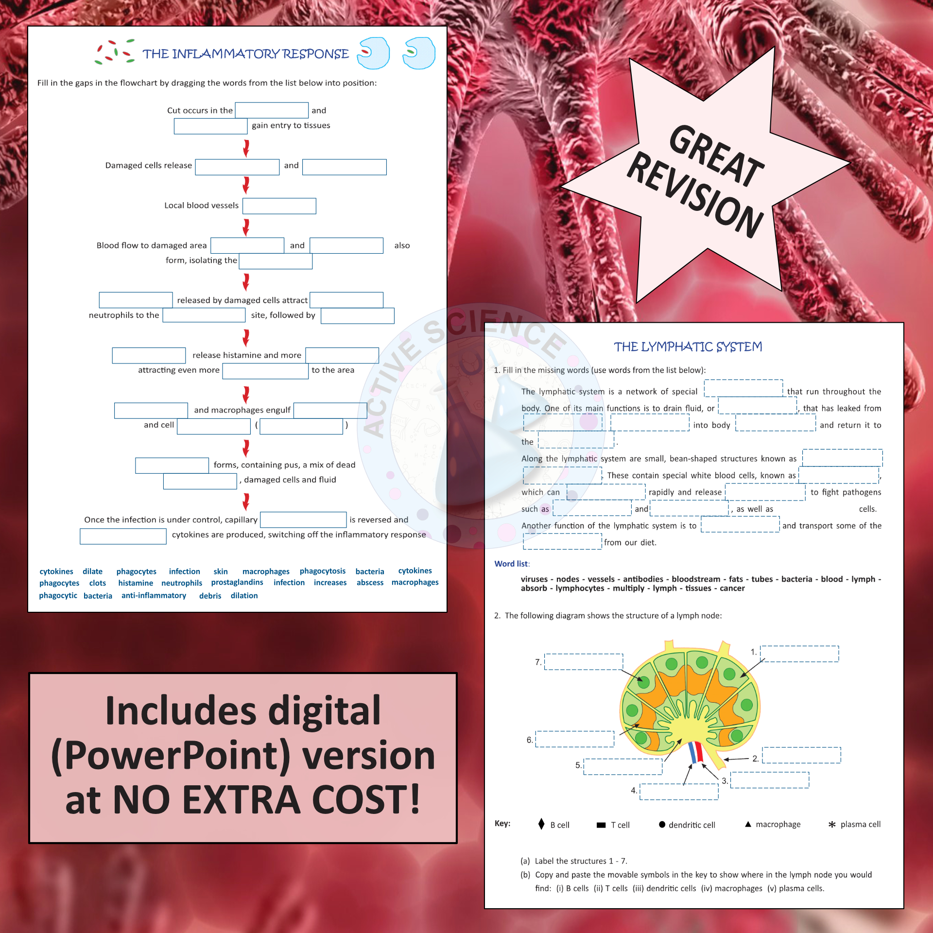 The Immune System: 1st, 2nd and 3rd lines of defense (US edition ...