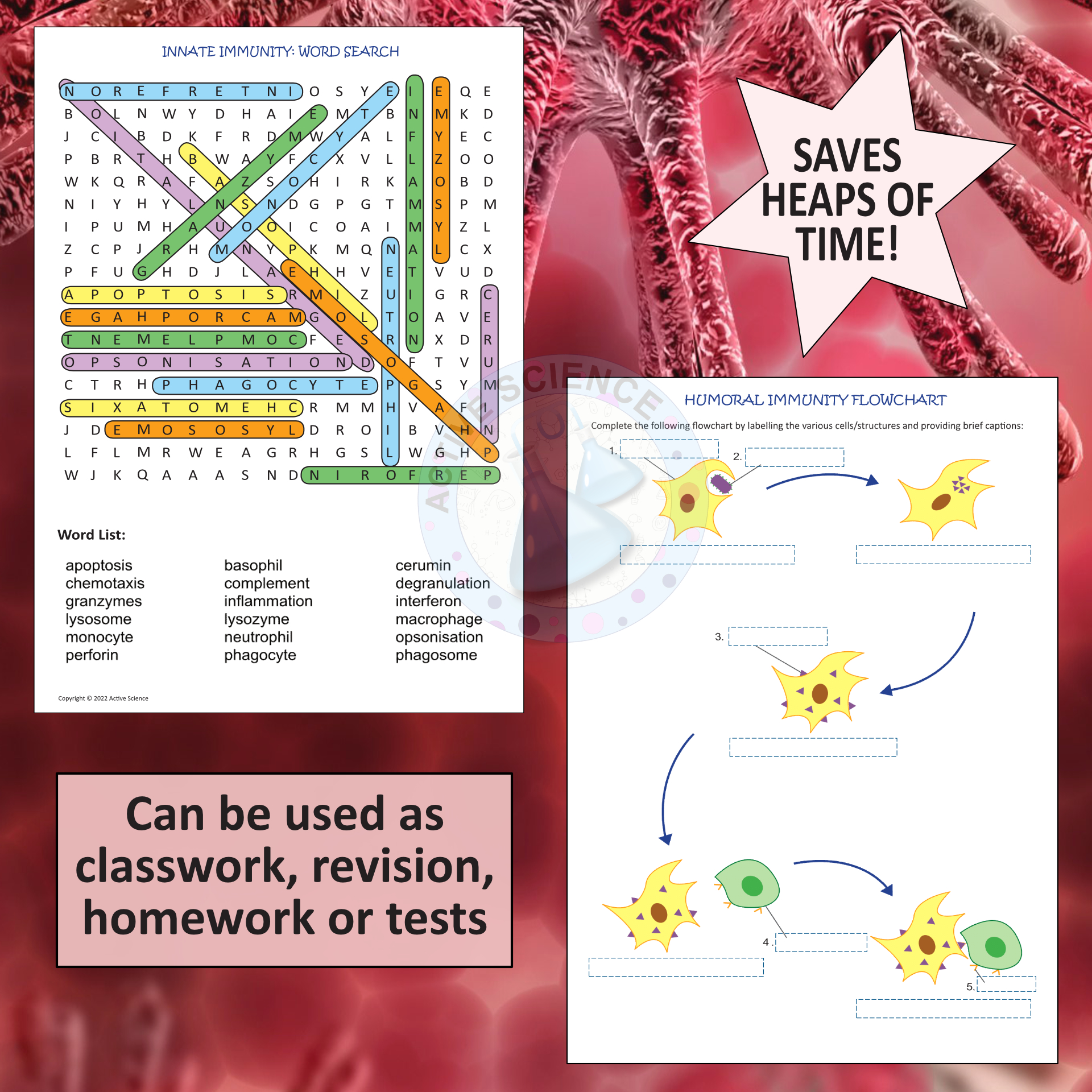 The Immune System: 1st, 2nd and 3rd lines of defense (US edition ...