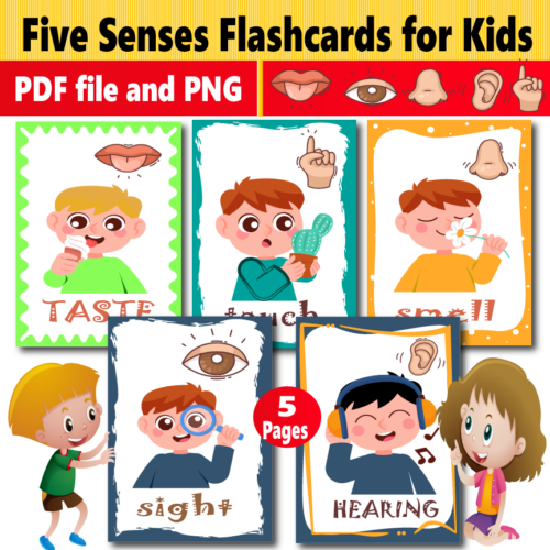 Five Senses Flashcards for Kids | Made By Teachers