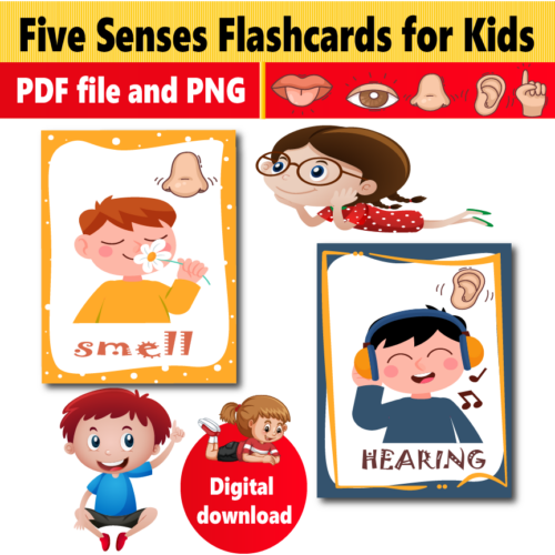 Five Senses Flashcards for Kids | Made By Teachers