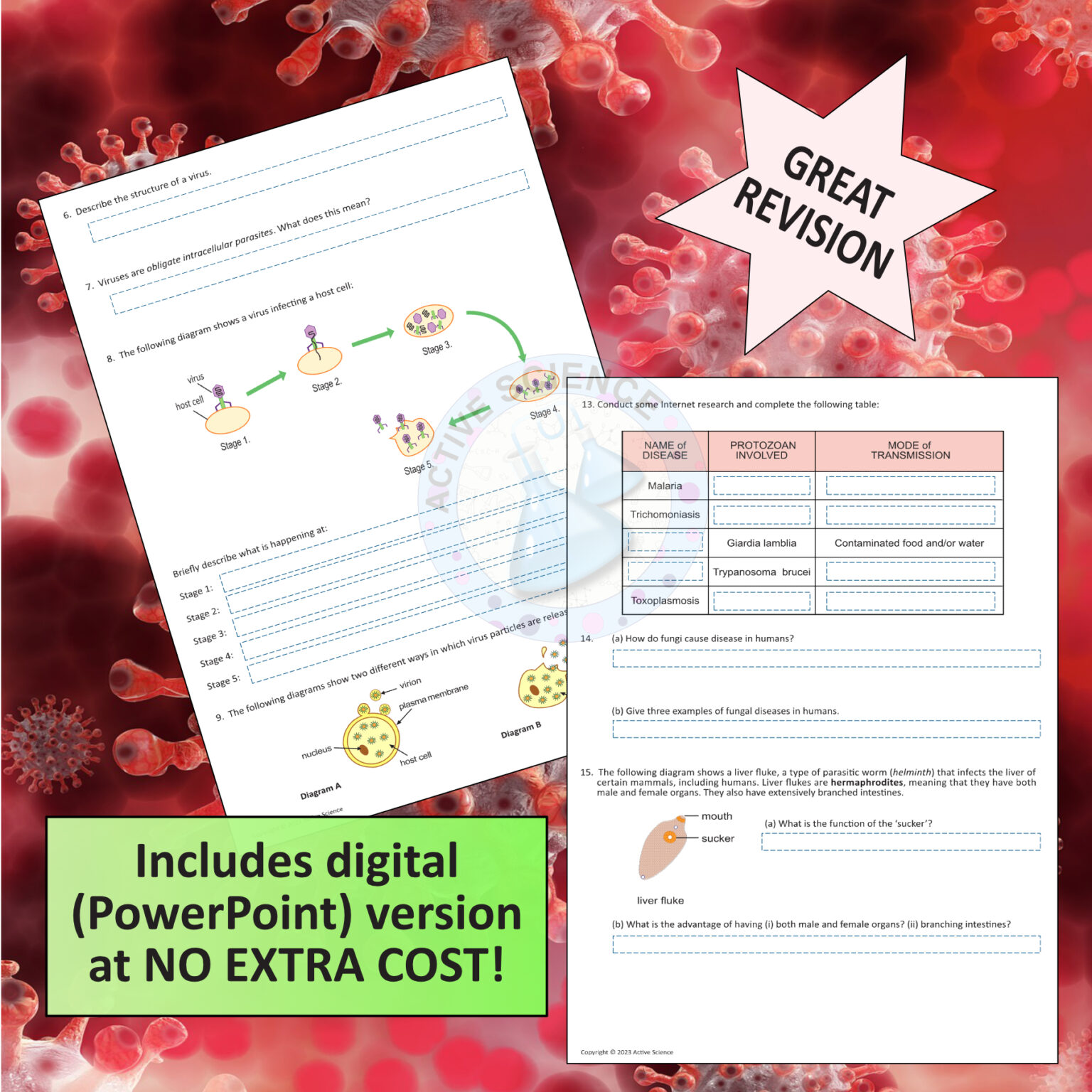 Pathogens and Antigens (worksheets) | Made By Teachers