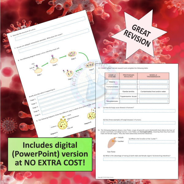 Pathogens And Antigens Worksheets Made By Teachers