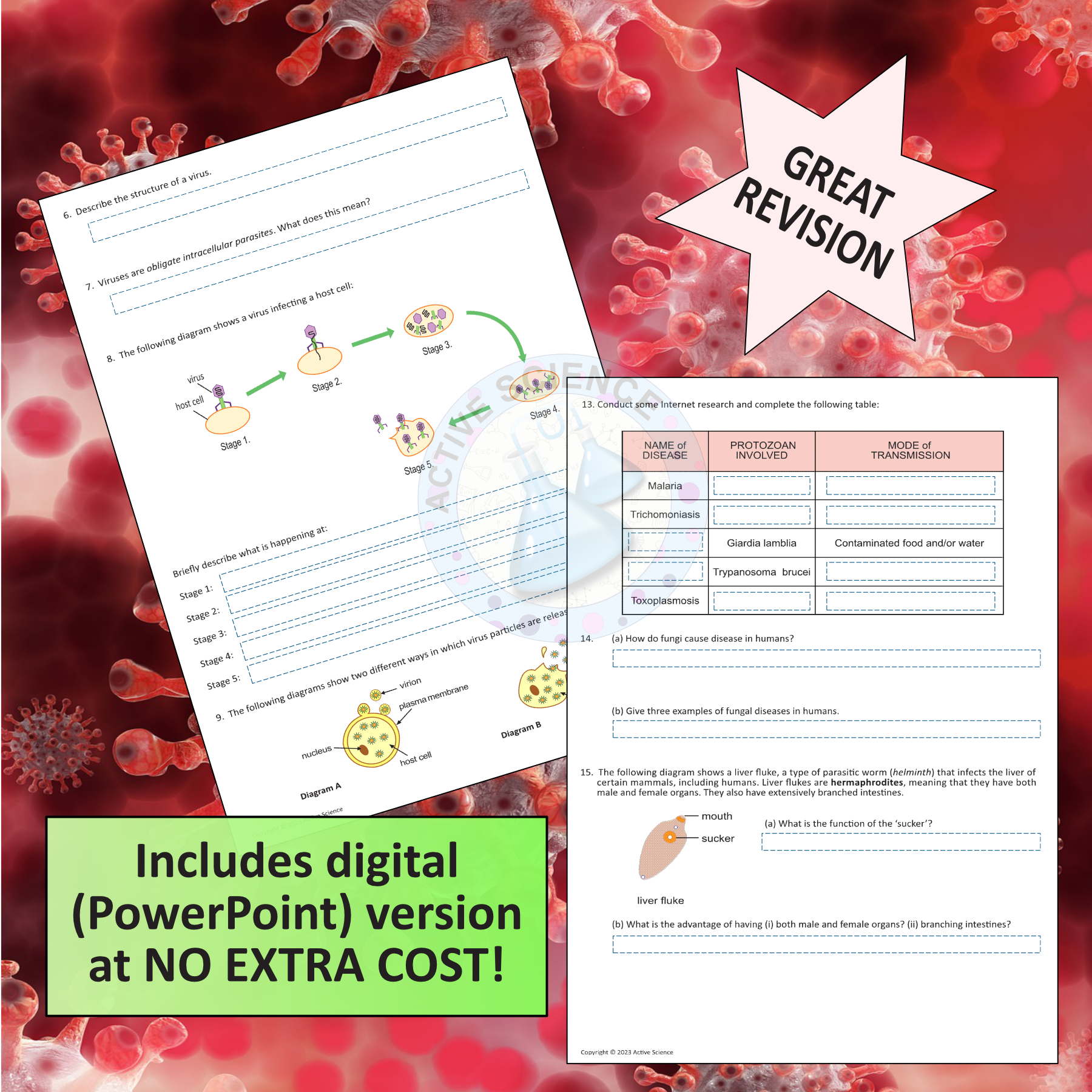 Pathogens and Antigens (worksheets) | Made By Teachers