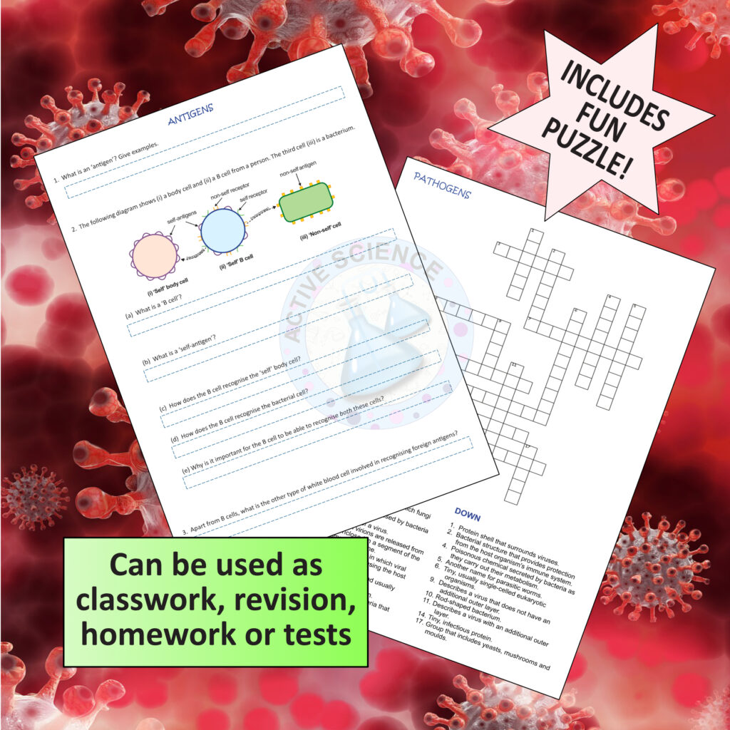 Pathogens and Antigens (worksheets) | Made By Teachers