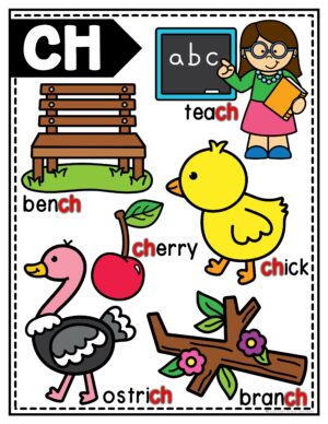 Digraph Anchor Chart Posters | Beginning and Ending Diagraphs | Made By ...
