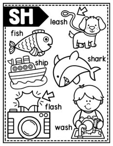 Digraph Anchor Chart Posters | Beginning and Ending Diagraphs | Made By ...