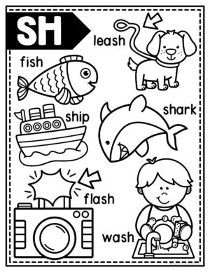 Digraph Anchor Chart Posters | Beginning and Ending Diagraphs | Made By ...