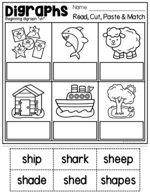 Beginning and Ending Digraph Practice Worksheets | No-Prep Phonics ...