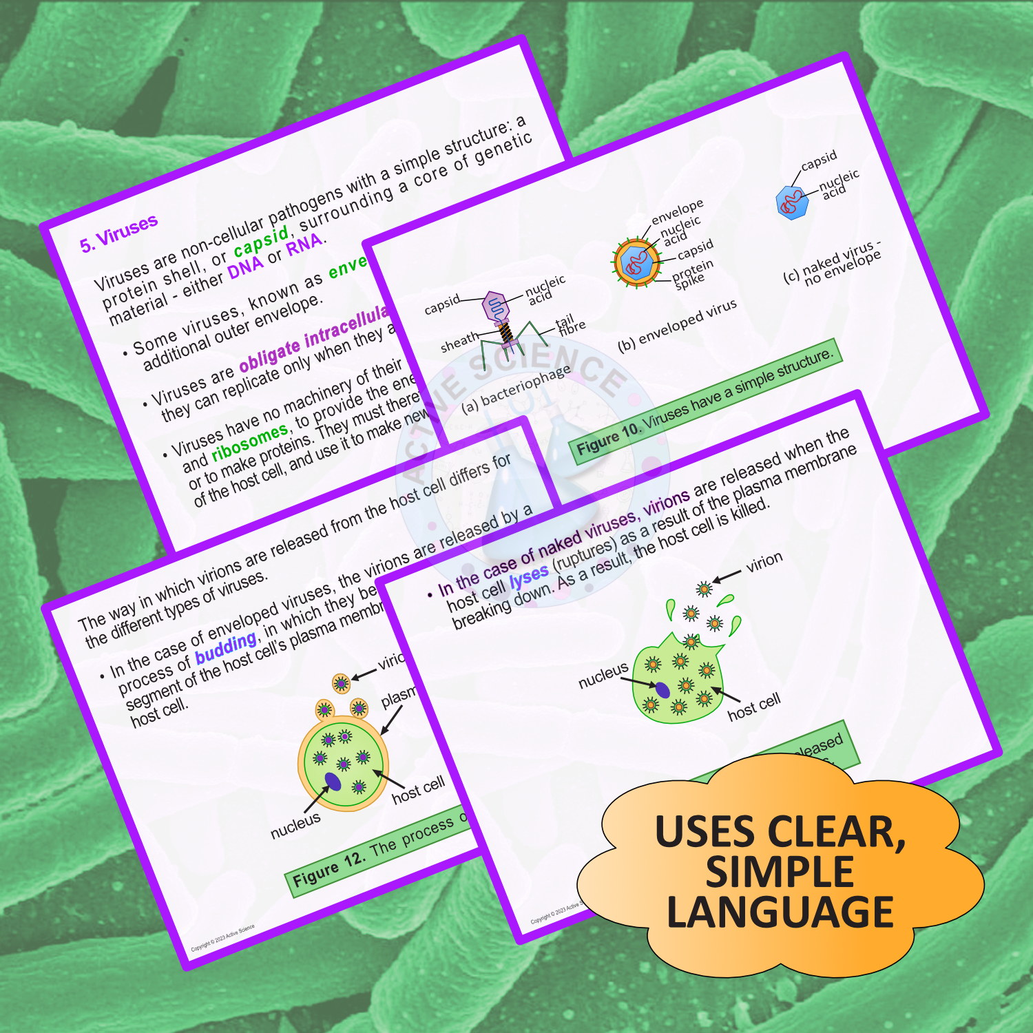 Pathogens and Antigens (PDF Presentation) | Made By Teachers