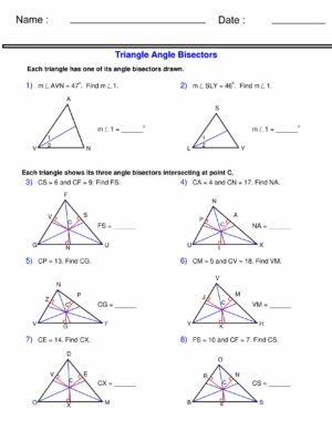Angle Bisectors - Triangle Worksheets | Made By Teachers