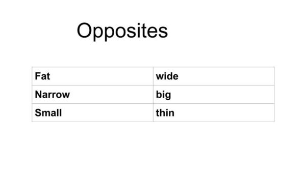 opposites | Made By Teachers