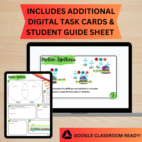 Scaffolded Protein Synthesis Task Cards | Made By Teachers