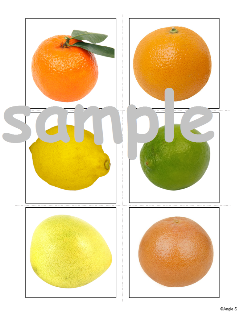 Fruits, Nuts and Berries Vocabulary Cards for Speech Therapy and ESL ...