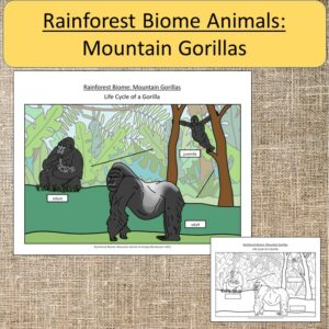Rainforest Biome Animals: Mountain Gorilla | Made By Teachers