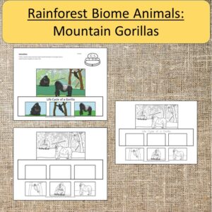 Rainforest Biome Animals: Mountain Gorilla | Made By Teachers