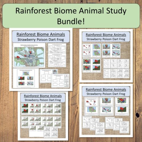 Rainforest Biome Animal Study Bundle Geography science study montessori ...